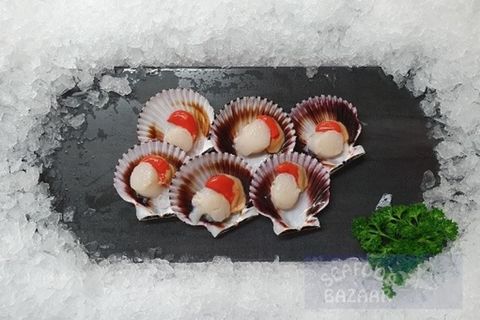 Frozen Seafood Products Home Delivery|Seafood Bazaar