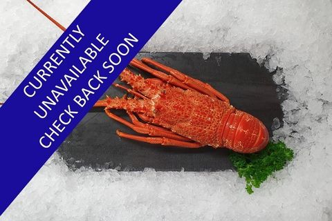 Crabs & Crayfish online home delivery NZ|Seafood Bazaar