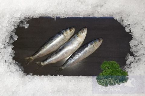 Frozen Seafood Products Home Delivery|Seafood Bazaar