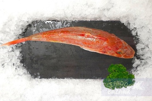 Gurnard GG 700gram|Seafood Bazaar
