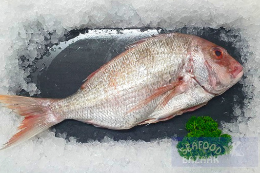 Snapper GGS 700gram|Seafood Bazaar