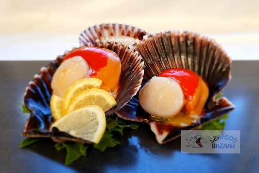 Half Shell Scallops|Seafood Bazaar